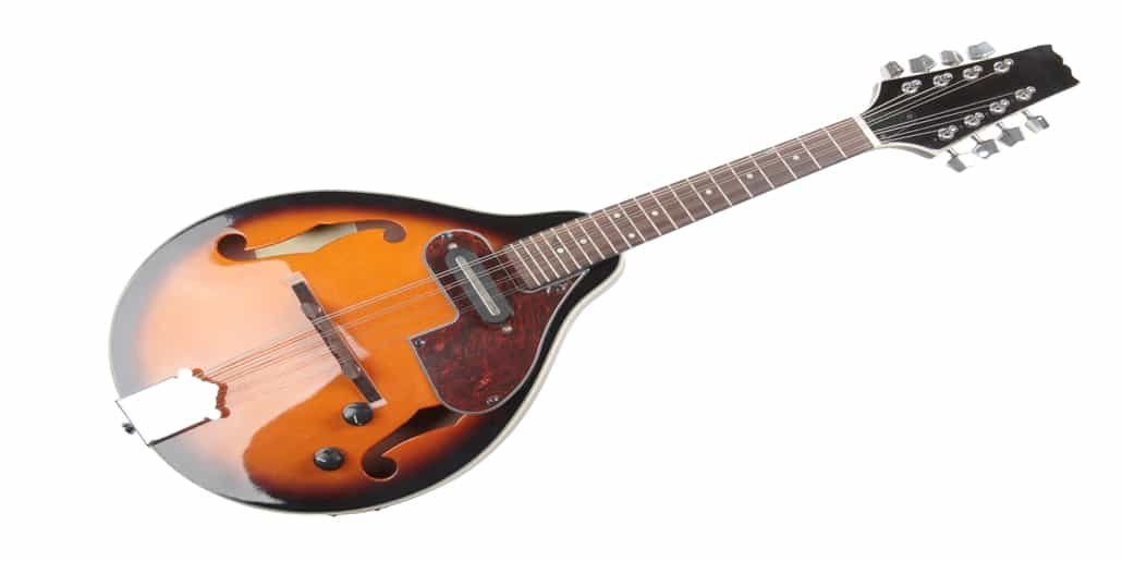 Acoustic Electric Mandolin | Global Brand OEM Servicer