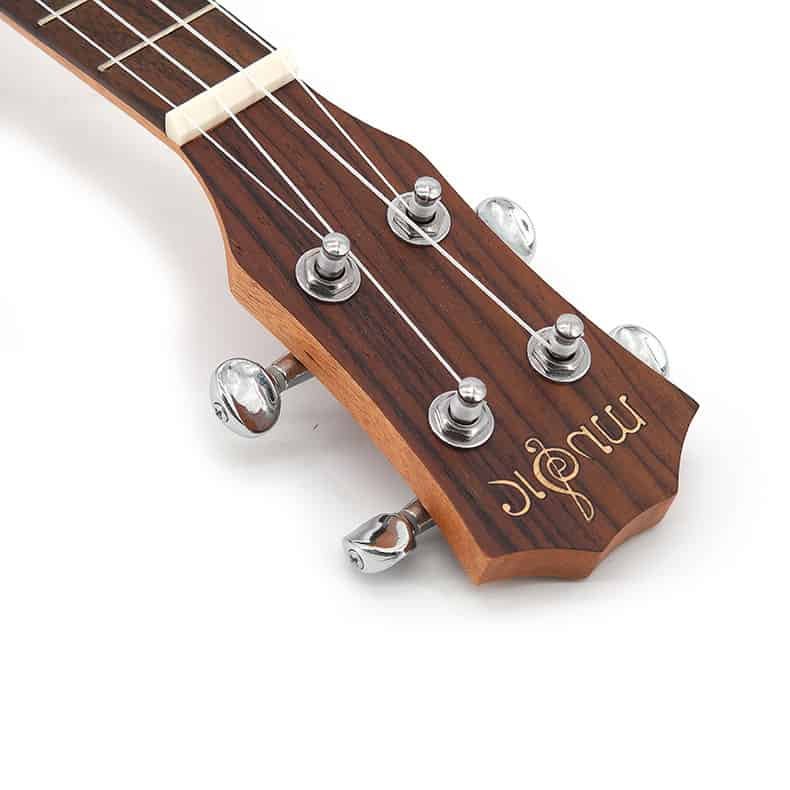 Designer Ukulele | Ariose Music