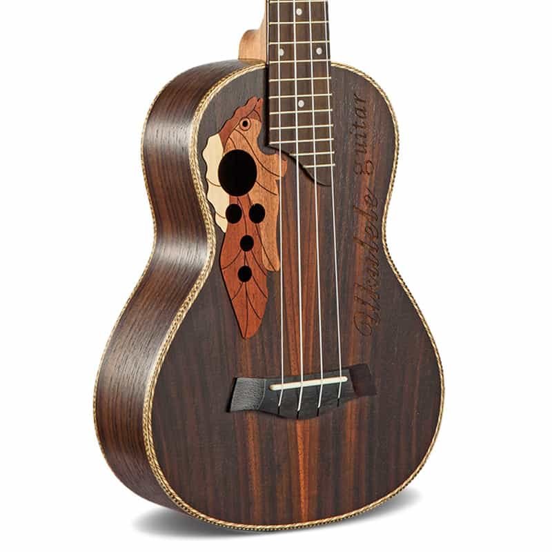 Designer Ukulele | Ariose Music