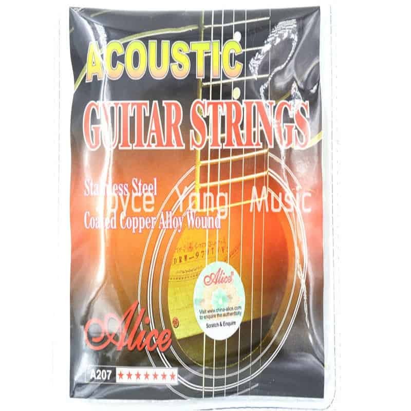 Acoustic Guitar Light Strings | Ariose Music