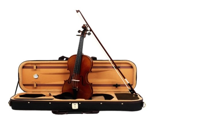 Types Of Violin Cases | China Factory Ariose Music