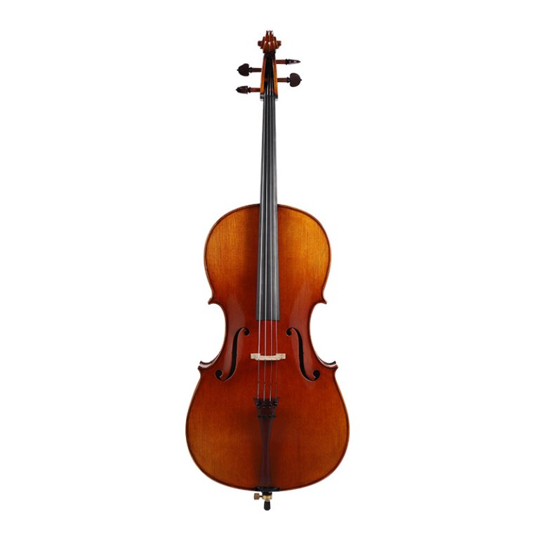Cello vs Contrabass | Key Differences in Size, Sound, and Use